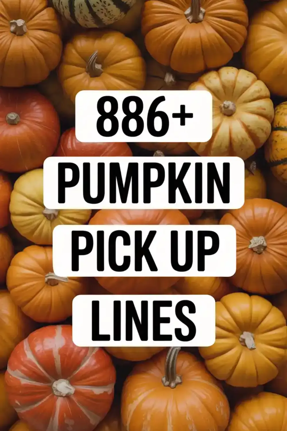 886+ Pumpkin Pick Up Lines for Every Vibe in 2025
