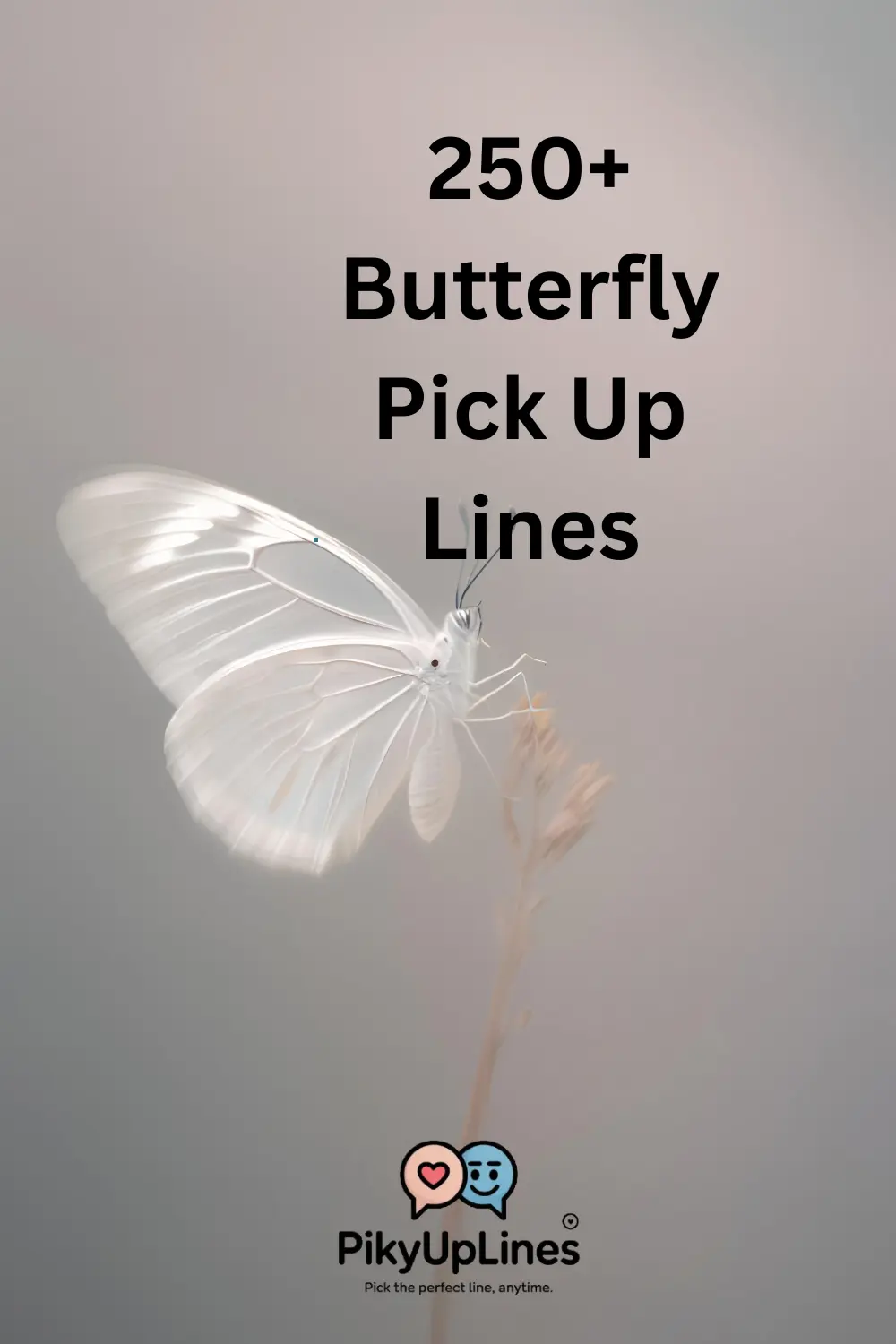 🦋 Butterfly Pick Up Lines — Expressing Well Wishes with Wings