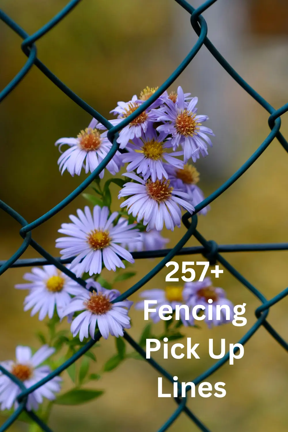 257+ Fencing Pick Up Lines